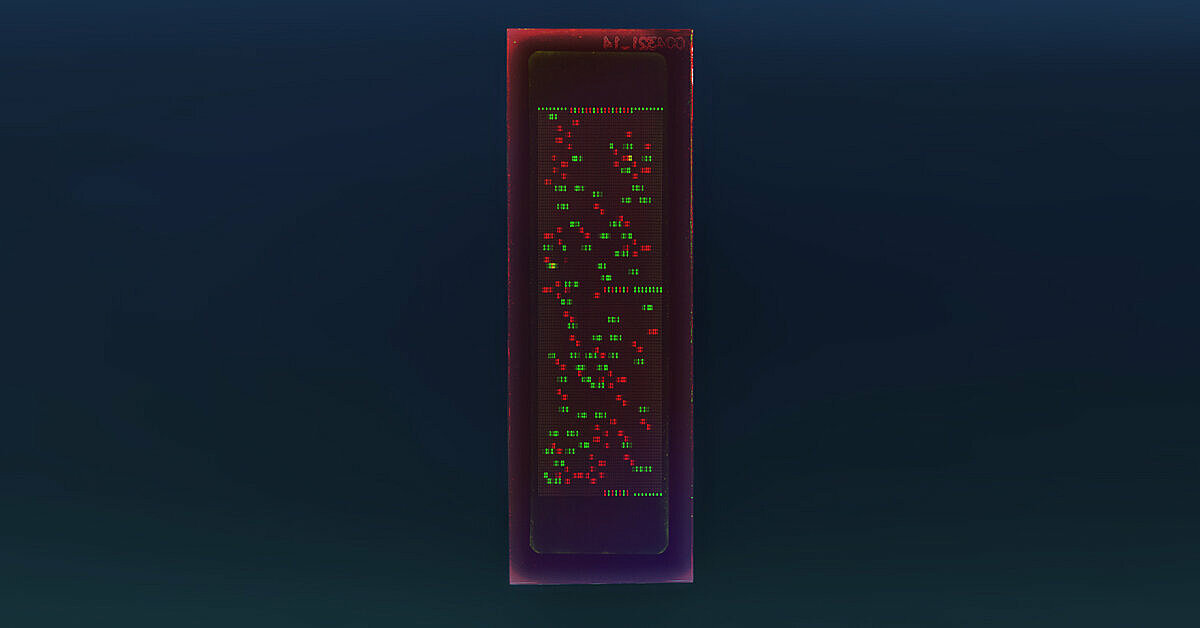 PEPperPRINT: PEPperCHIP® Autoimmune Human Epitope Microarray