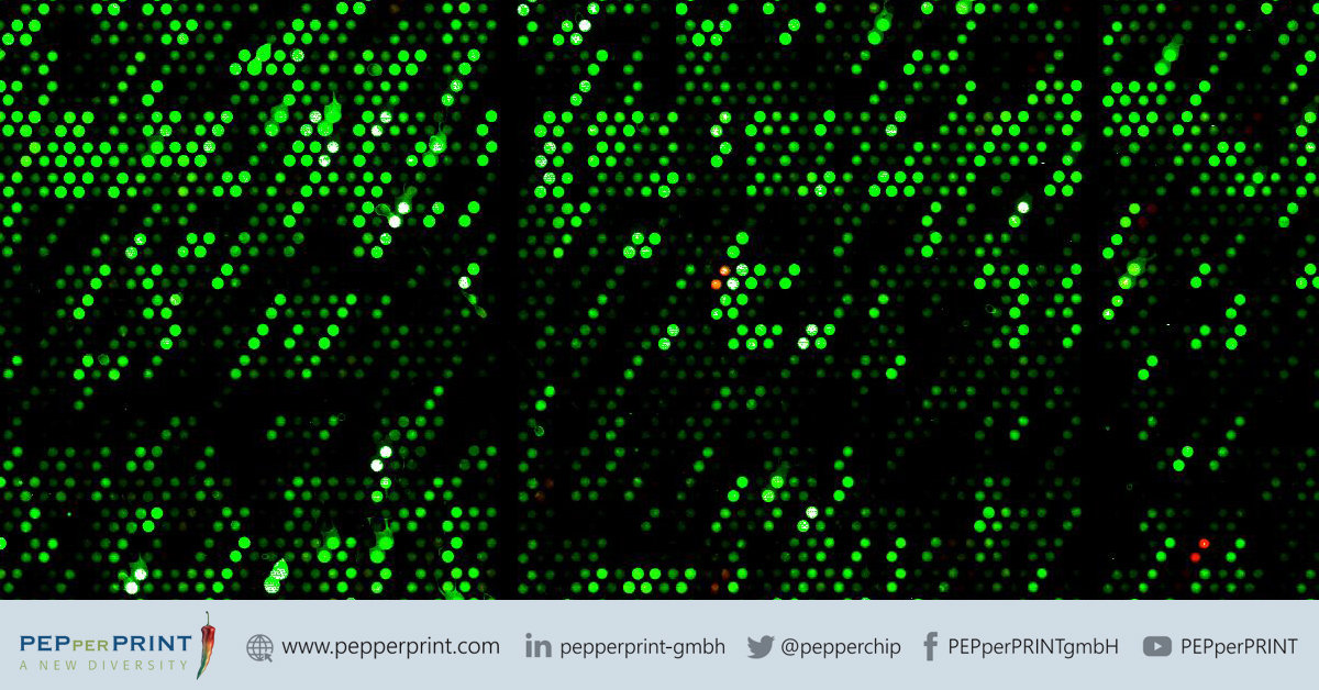 PEPperPRINT: HuProt™ Human Proteome Microarray v4.0